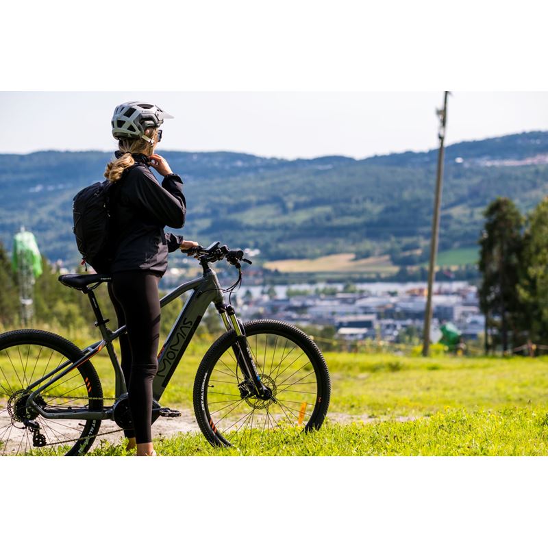 Momas Ultimate+ | Elsykkel | E-Wheels®