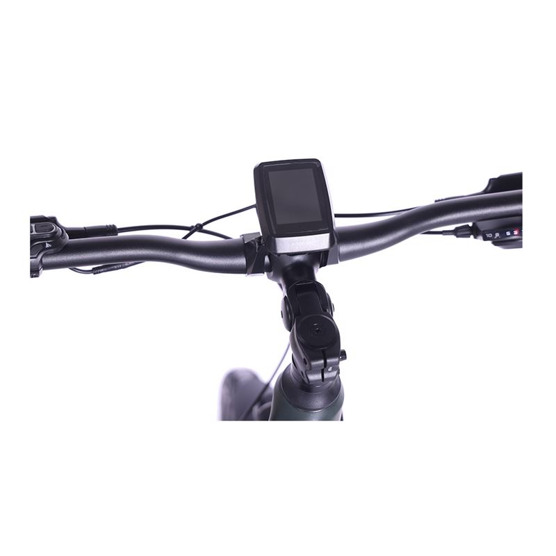 Momas Wayfarer+ LTD | E-Wheels®