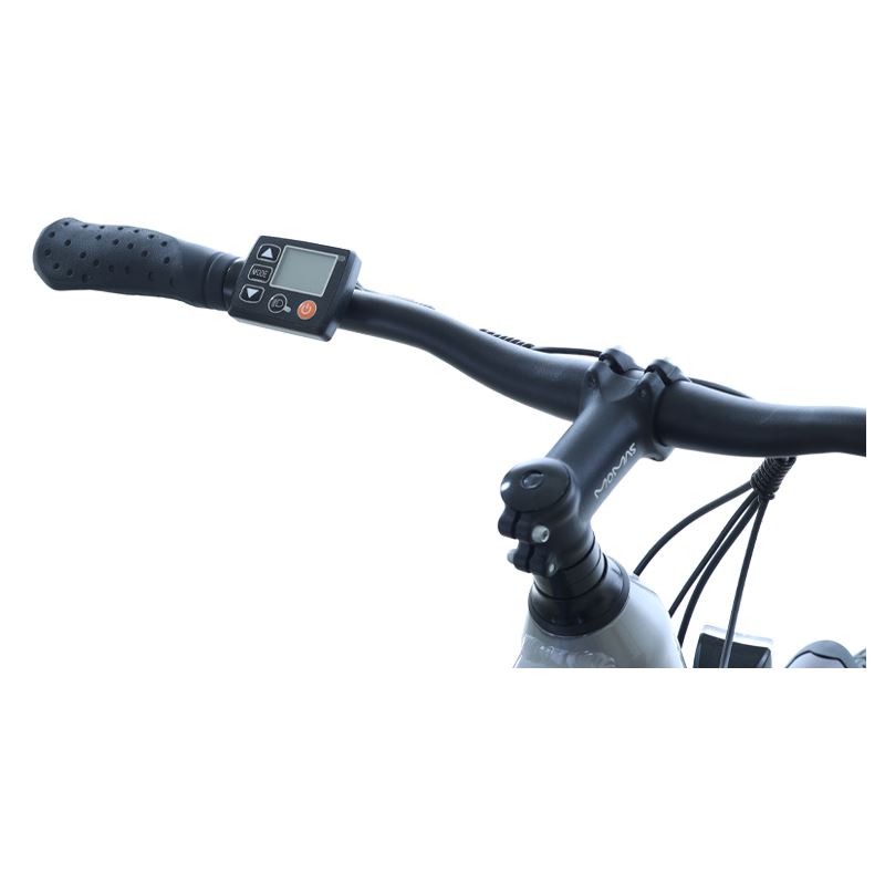 Momas Jason Urban+ 2023