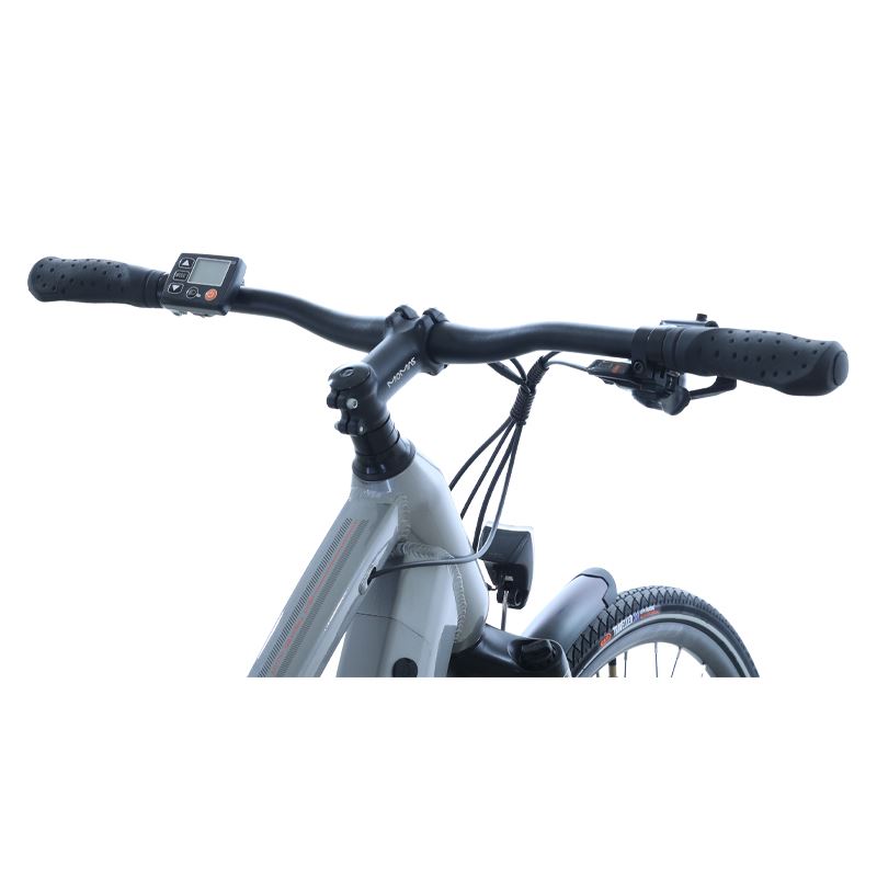 Momas Jason Urban+ 2023